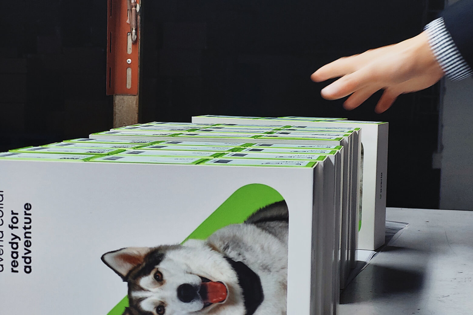 Preparing the First Shipment of Averia Collars