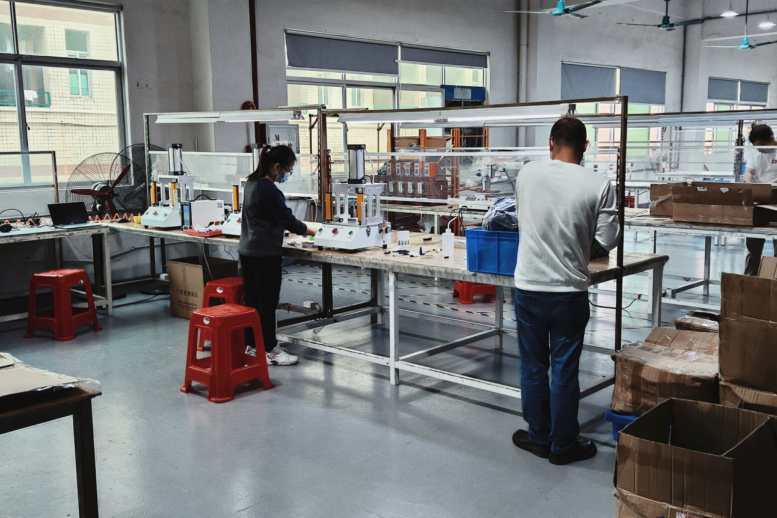 Preparing the First Shipment of Averia Collars