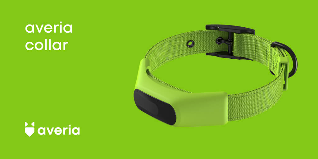 Smart GPS Collar for Dogs | Real-Time Tracking & Health Monitoring ...