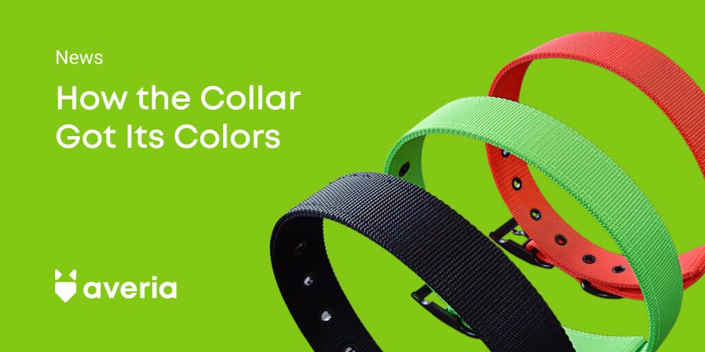 Matching Averia Collar’s Colors