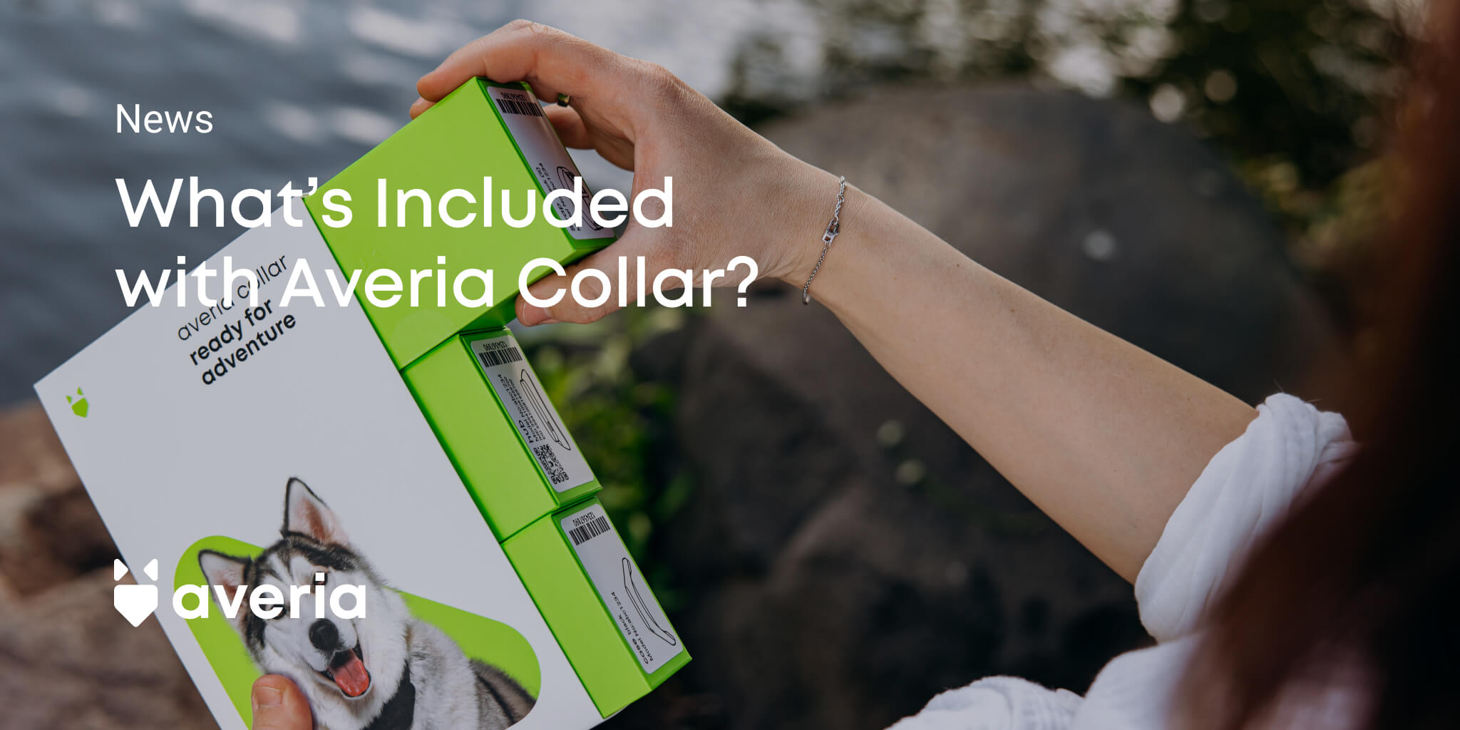 What’s Included with Averia Collar?