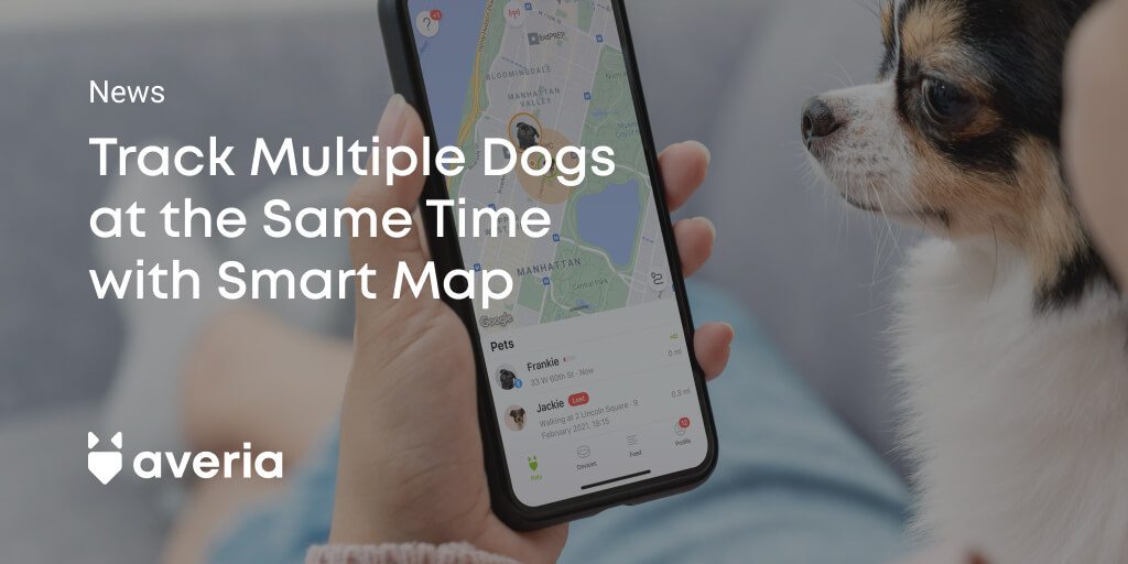 Track Multiple Dogs at the Same Time with Smart Map