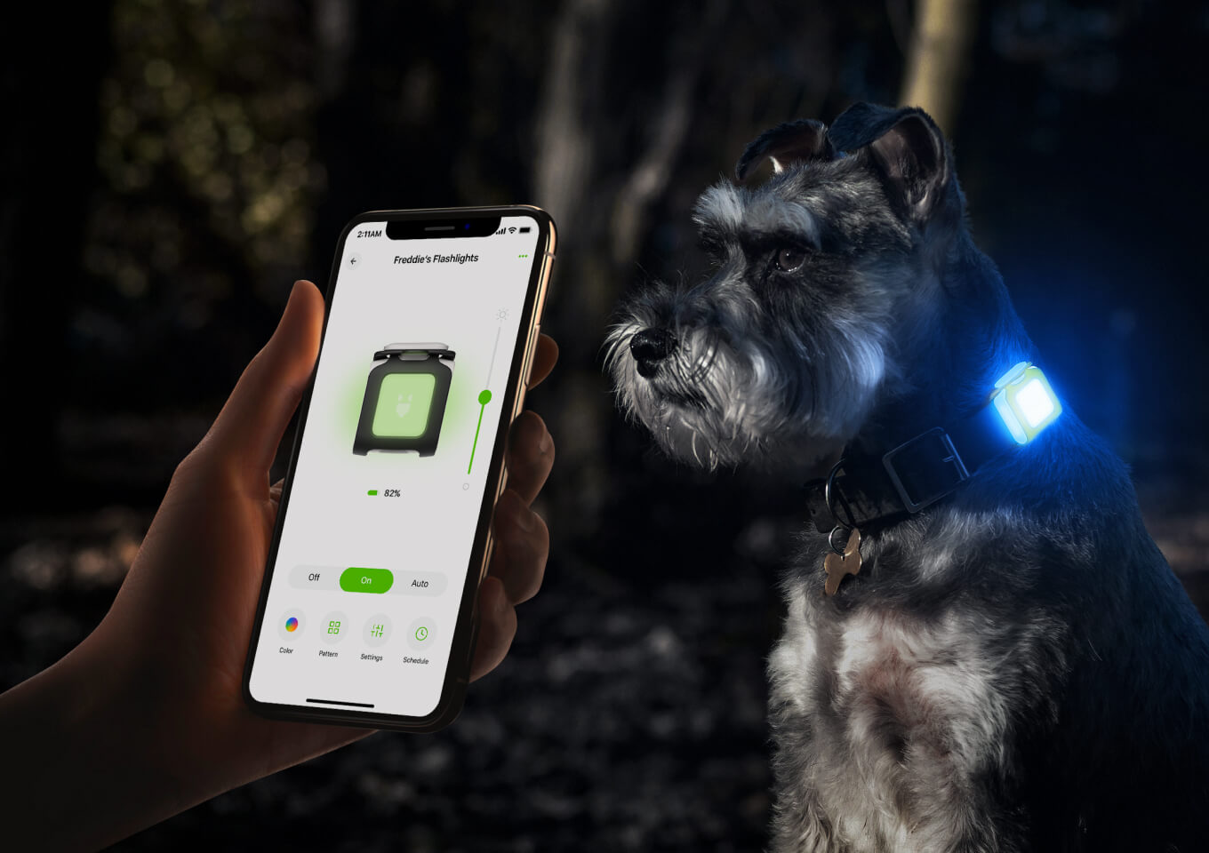 LED Flashlight for Dog Collar | Bright & Durable Light Accessory ...