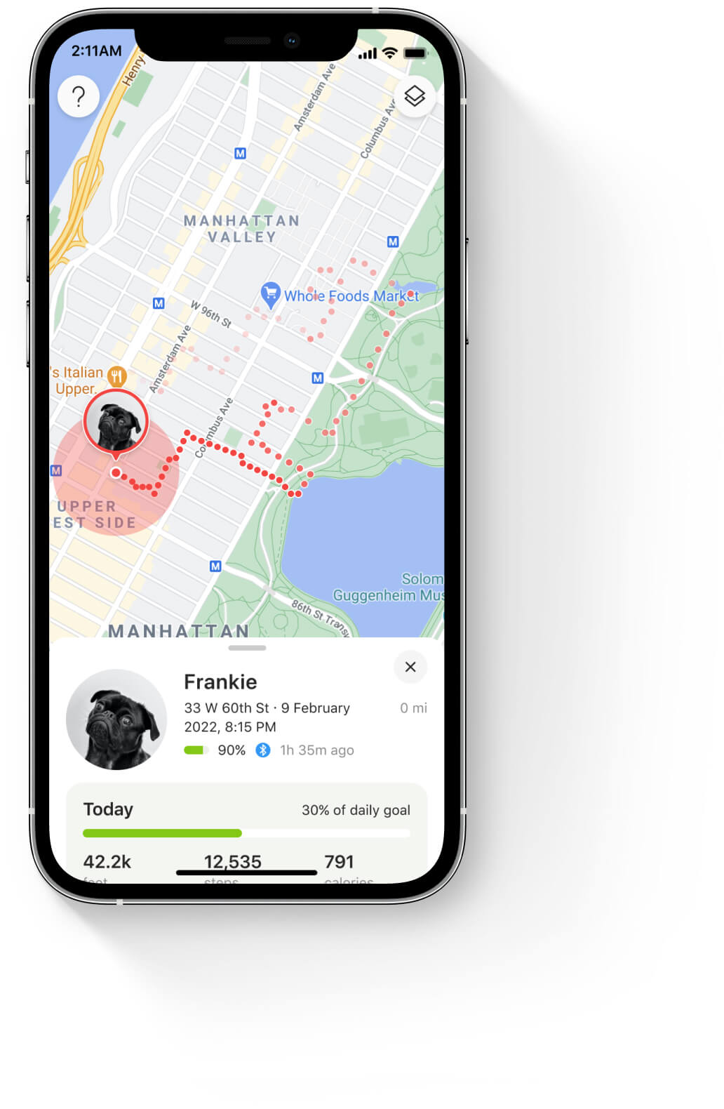 Tap Into Your Pet’s Health and Safety
